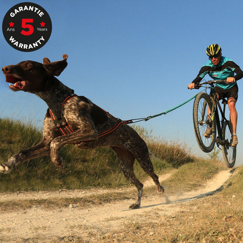 Postroj pro psa I-DOG Canicross X-Back One I-DOG - Decathlon