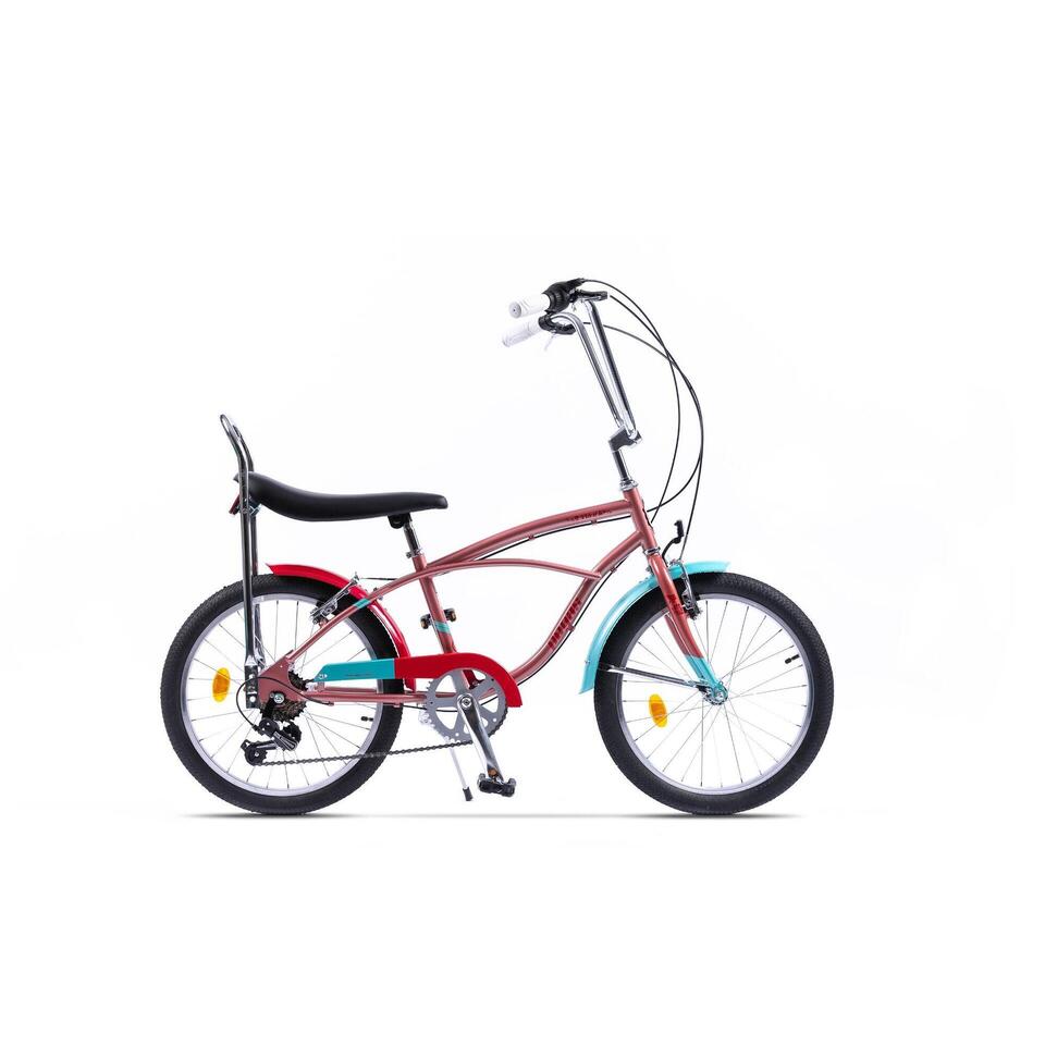 Bicicleta Pegas rezistente si ieftine pentru orice tip de traseu