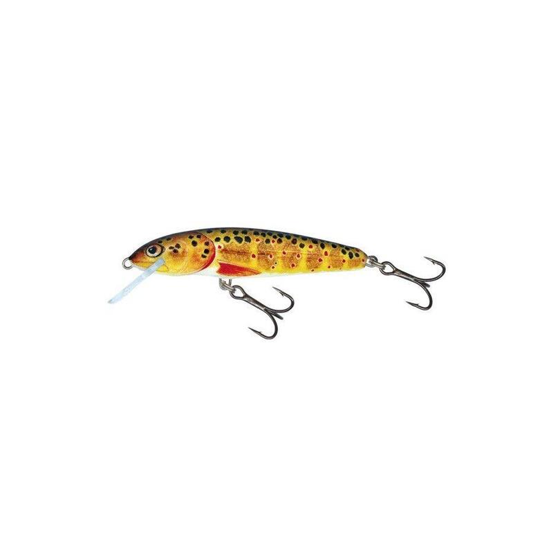 Poisson Nageur Salmo Minnow (M6F - T - Trout) SALMO | Decathlon