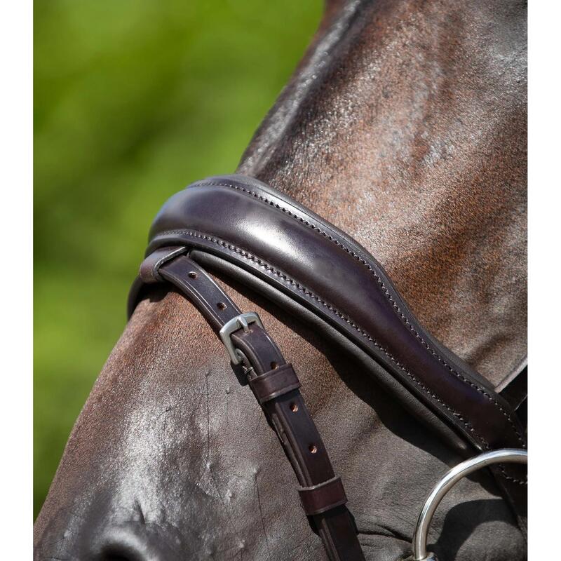 Bridon anatomique muserolle combinée Premier Equine Stellazzio PREMIER ...