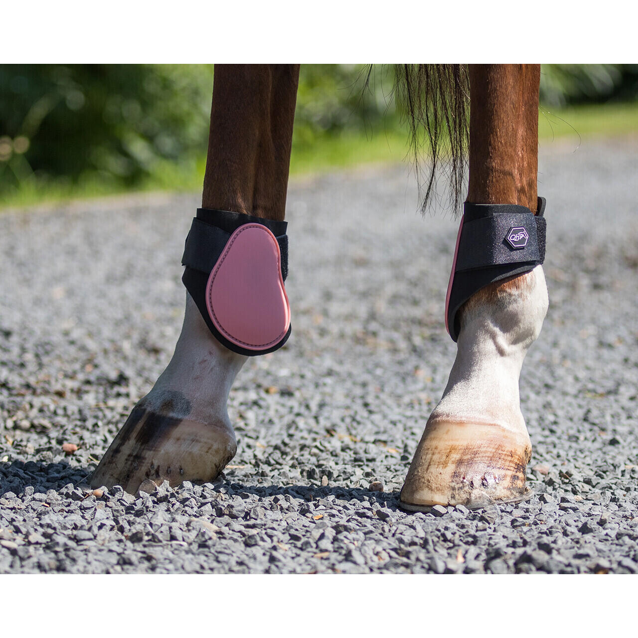 Fetlock protectors for horses QHP - Decathlon