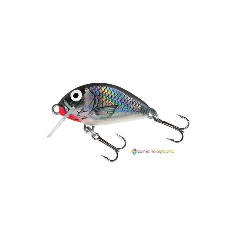 Poisson nageur Salmo Tiny 3cm (IT3S - HGS - Holo Green Shiner) SALMO ...