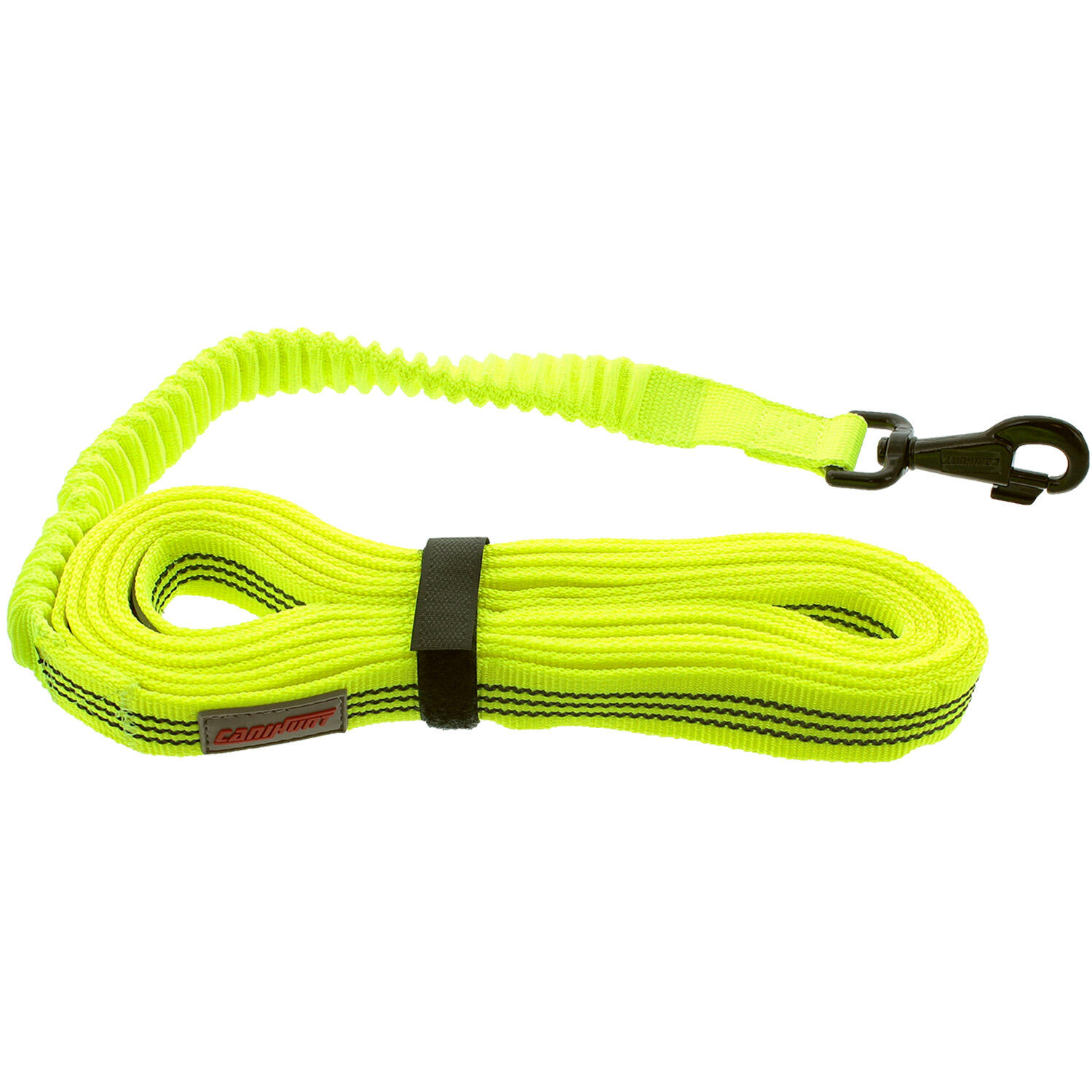 Pack licol et longe FOUGANZA | Decathlon