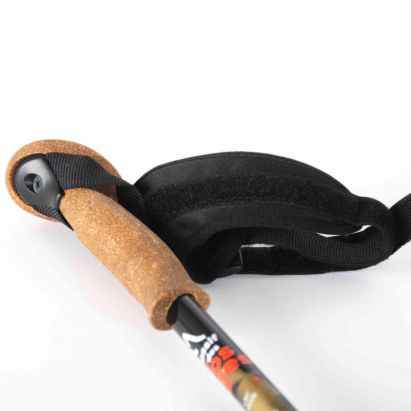 Bâtons de Randonnée - Massif des Vosges GUIDETTI | Decathlon