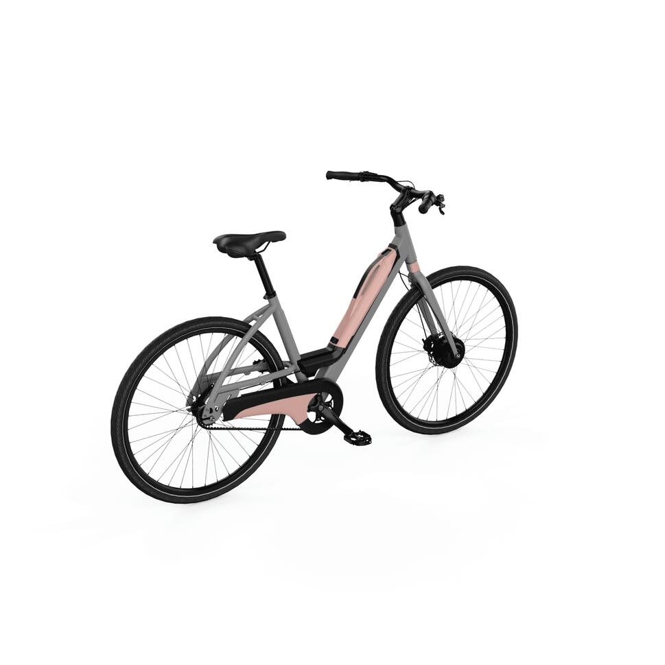 BAYCK Sportieve, onderhoudsarme elektrische fiets, lage instap, 7 ...