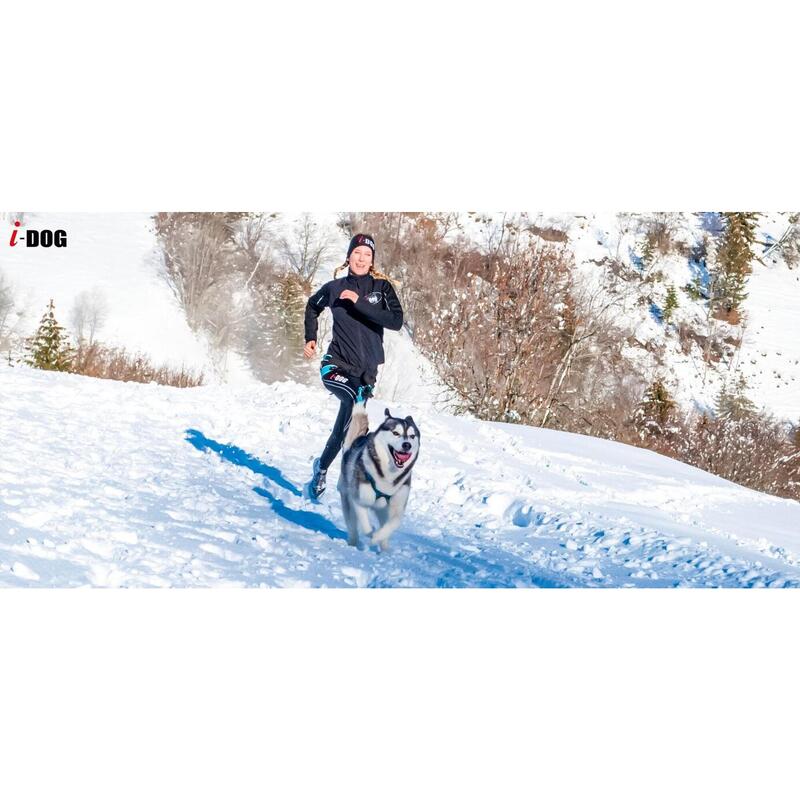 Longe de traction OPALE 190cm SMALL DOG pour courir avec son chien ...