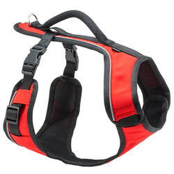 Harnais chien | Decathlon