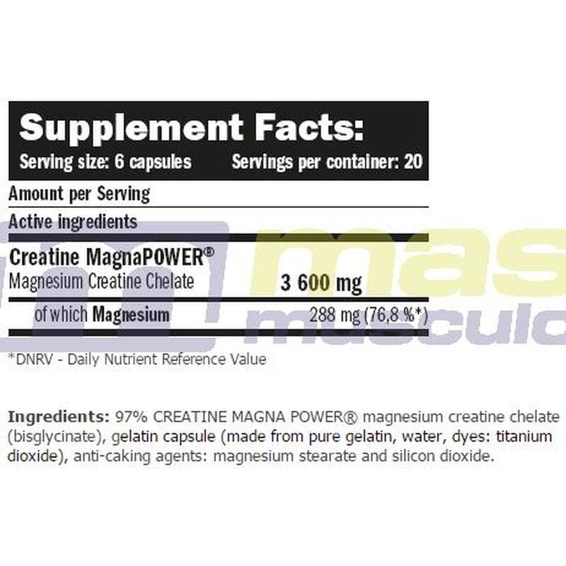 Créatine magnapower - 120 capsules de Amix Muscle Core AMIX | Decathlon