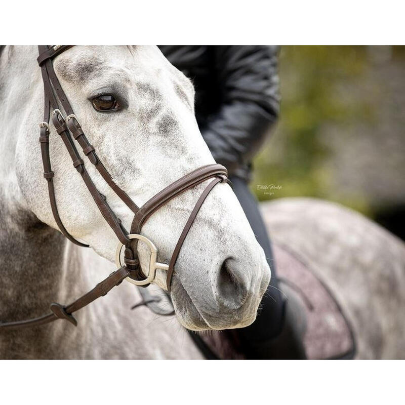 Myler Bustrens Comfort Level 2 (MB04) 12mm | MYLER BITS | Decathlon.nl