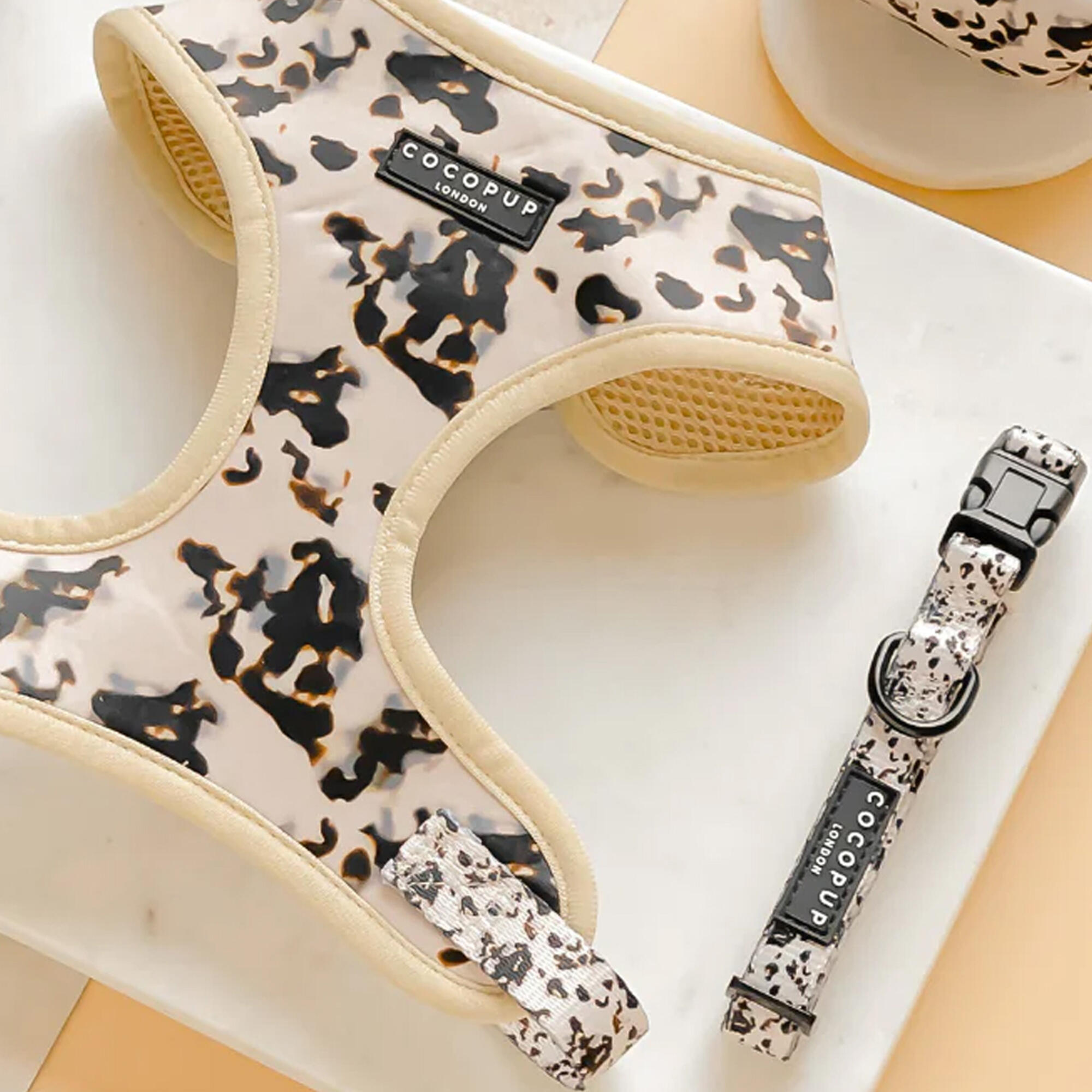 COCOPUP Collection | Decathlon