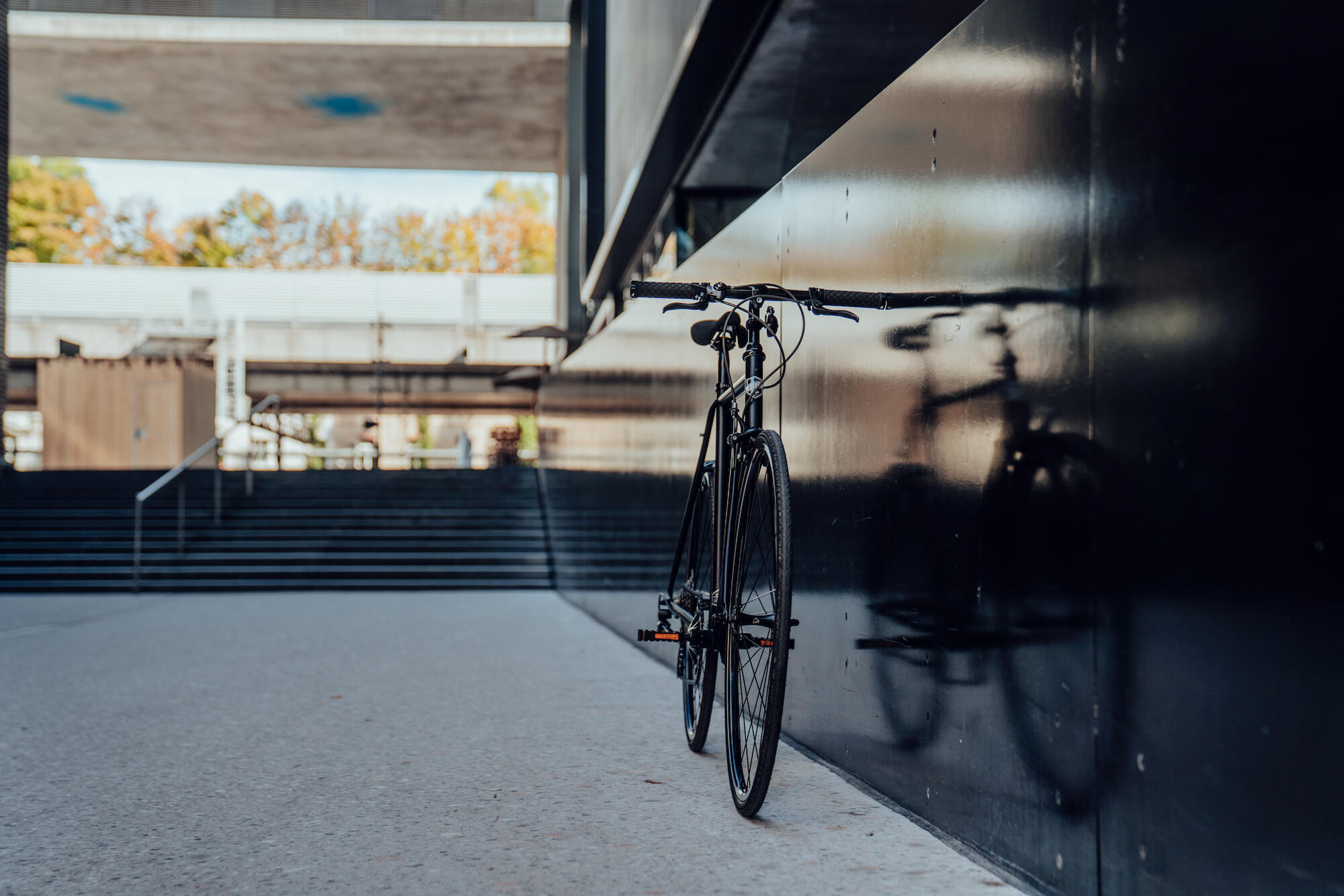 Men Urban Bike Black - SHIMANO CLARIS 8-Speed, Cork SIECH | Decathlon