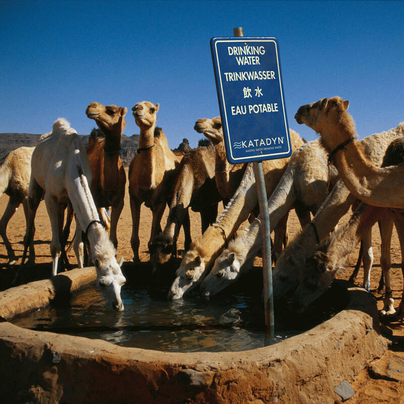Forte MF 1.000F Flüssig Trink Wasser Aufbereitung Konservierung Chlor ...