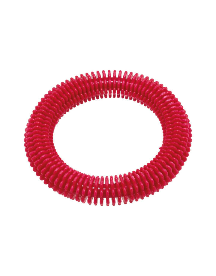 Fashy Lamellar Diving Ring FASHY | Decathlon