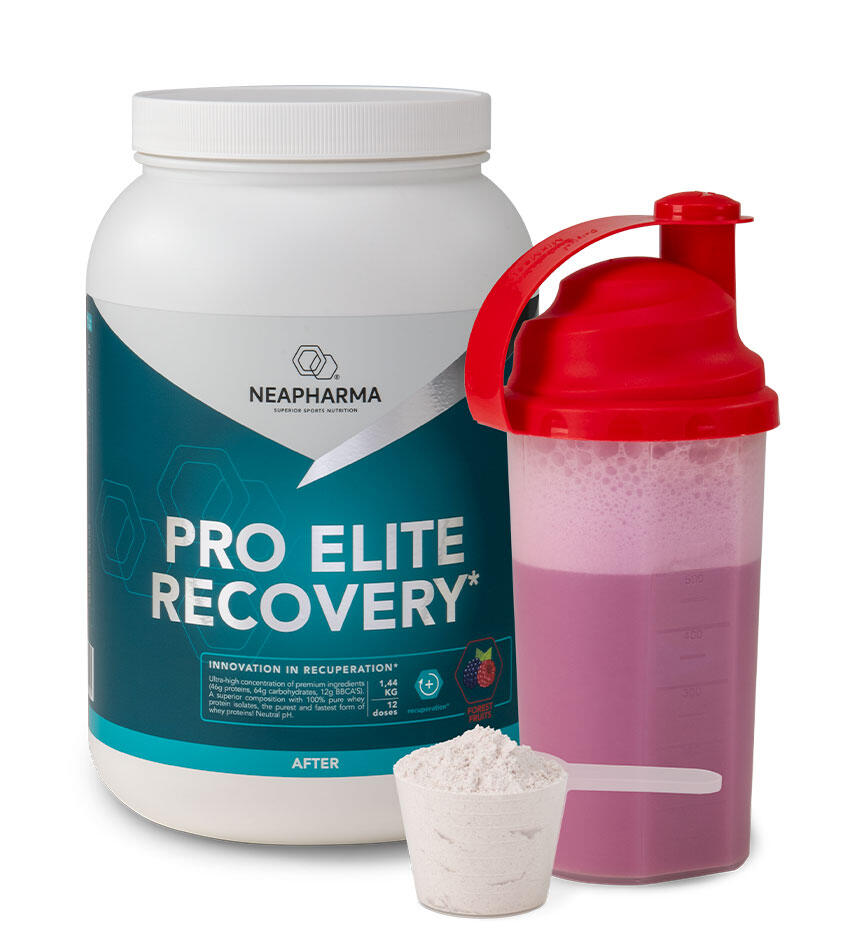 Recovery shake 56gr proteïne 1,2kg • Bosvruchten • Spierherstel ...