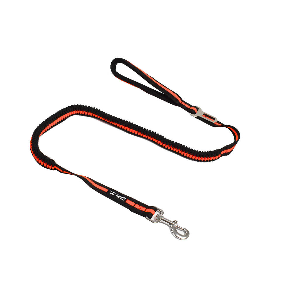 Canicross | Decathlon