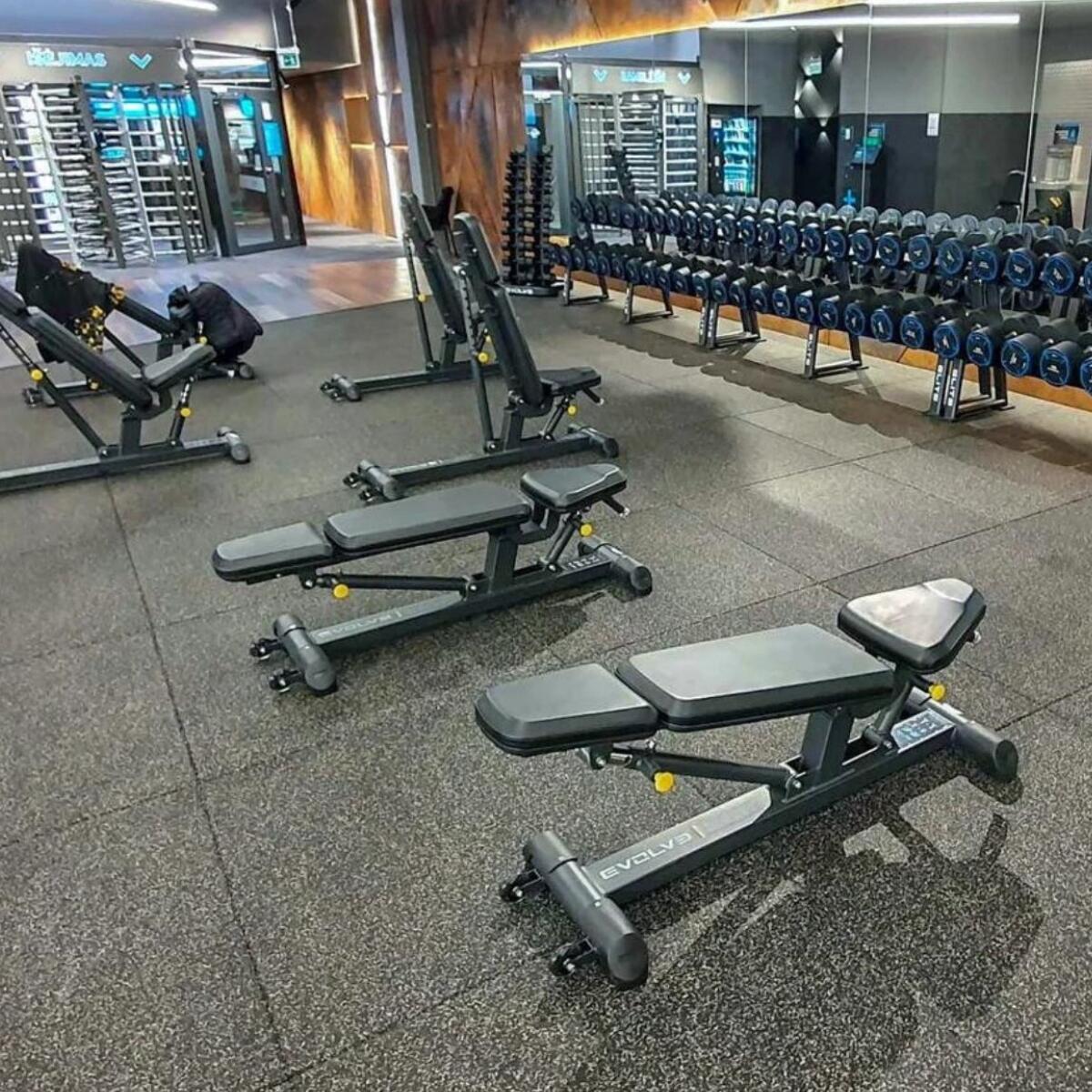 Evolve Fitness PR-204 Adjustable Bench - Verstelbare halterbank | Decathlon