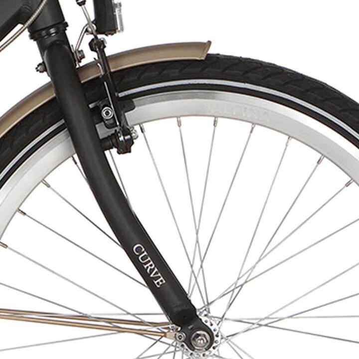 Alpina Fork 24 Curve Diamond Black Matt ALPINA | Decathlon