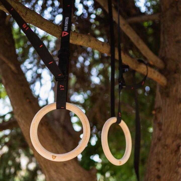 VIA FORTIS Premium Gym Rings - Houten Sportschoolringen voor Thuisgym ...