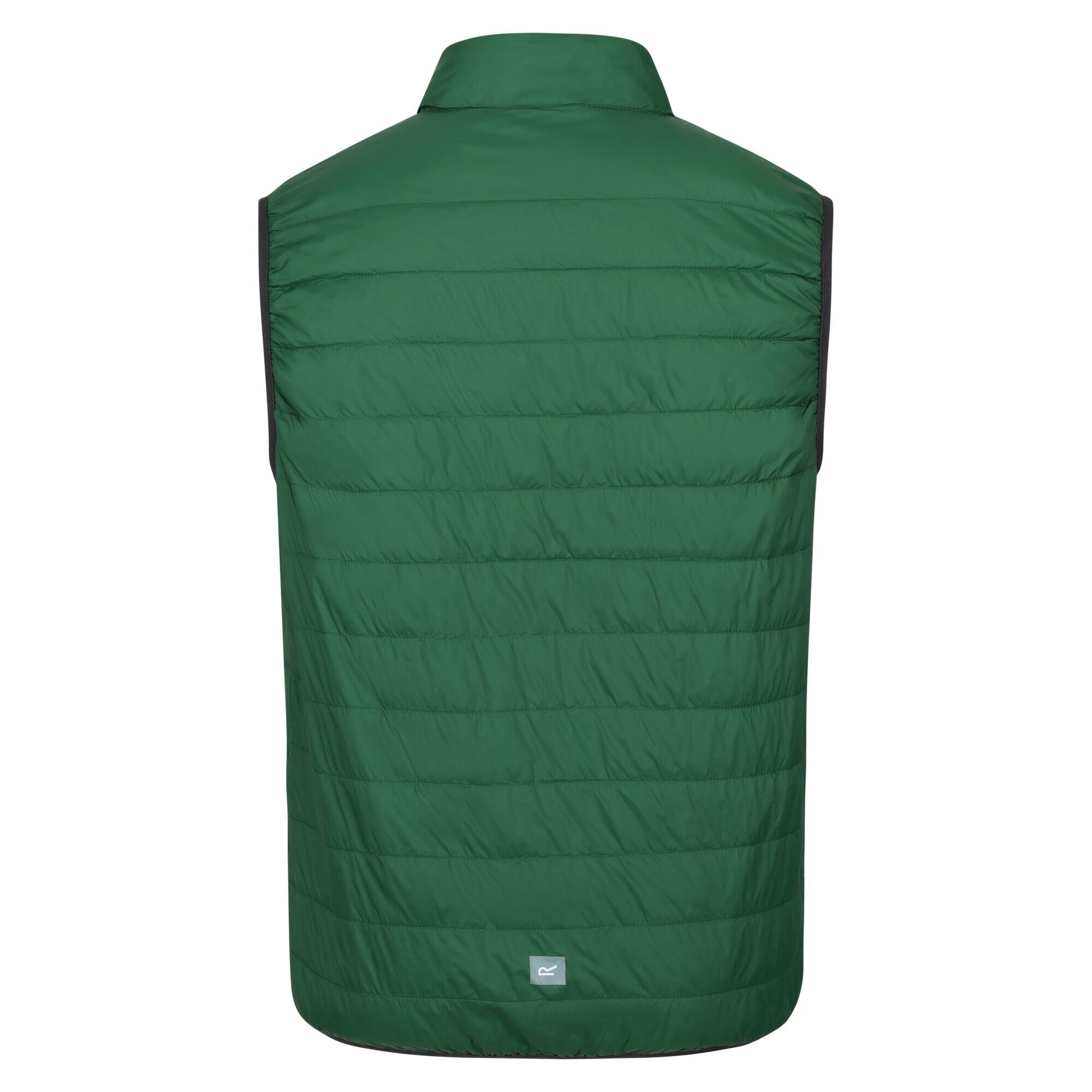 Mens Hillpack Insulated Body Warmer (Eden) REGATTA | Decathlon