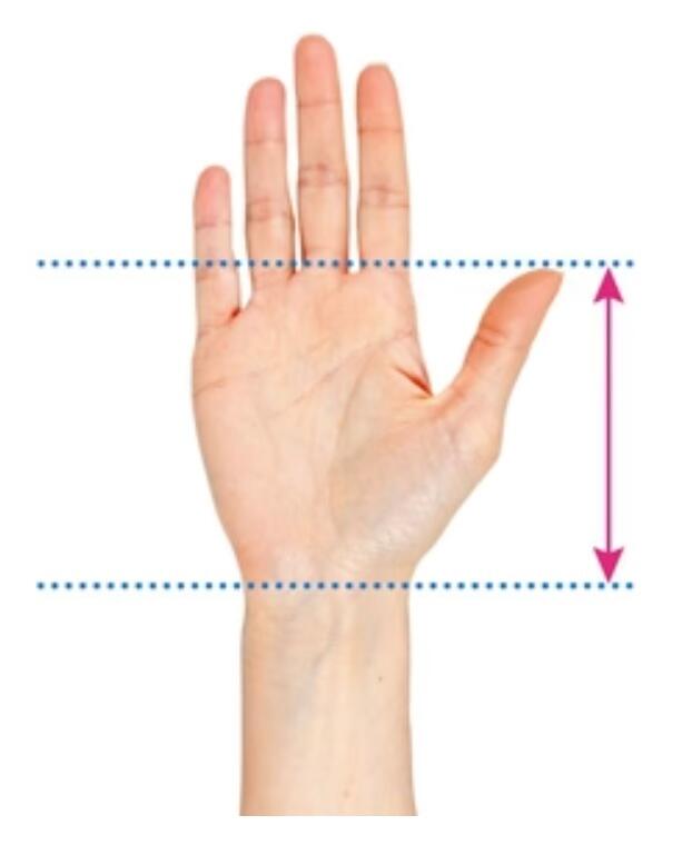 Gymnastics Leather Grips Rainbow Beginner ROSA USG | Decathlon