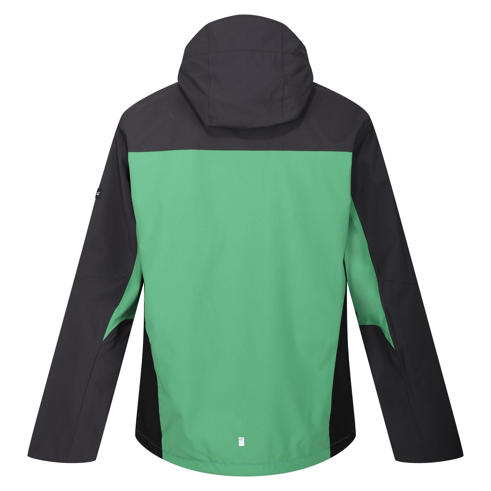 Mens Birchdale Waterproof Hooded Jacket (Field Green/Ash) REGATTA ...