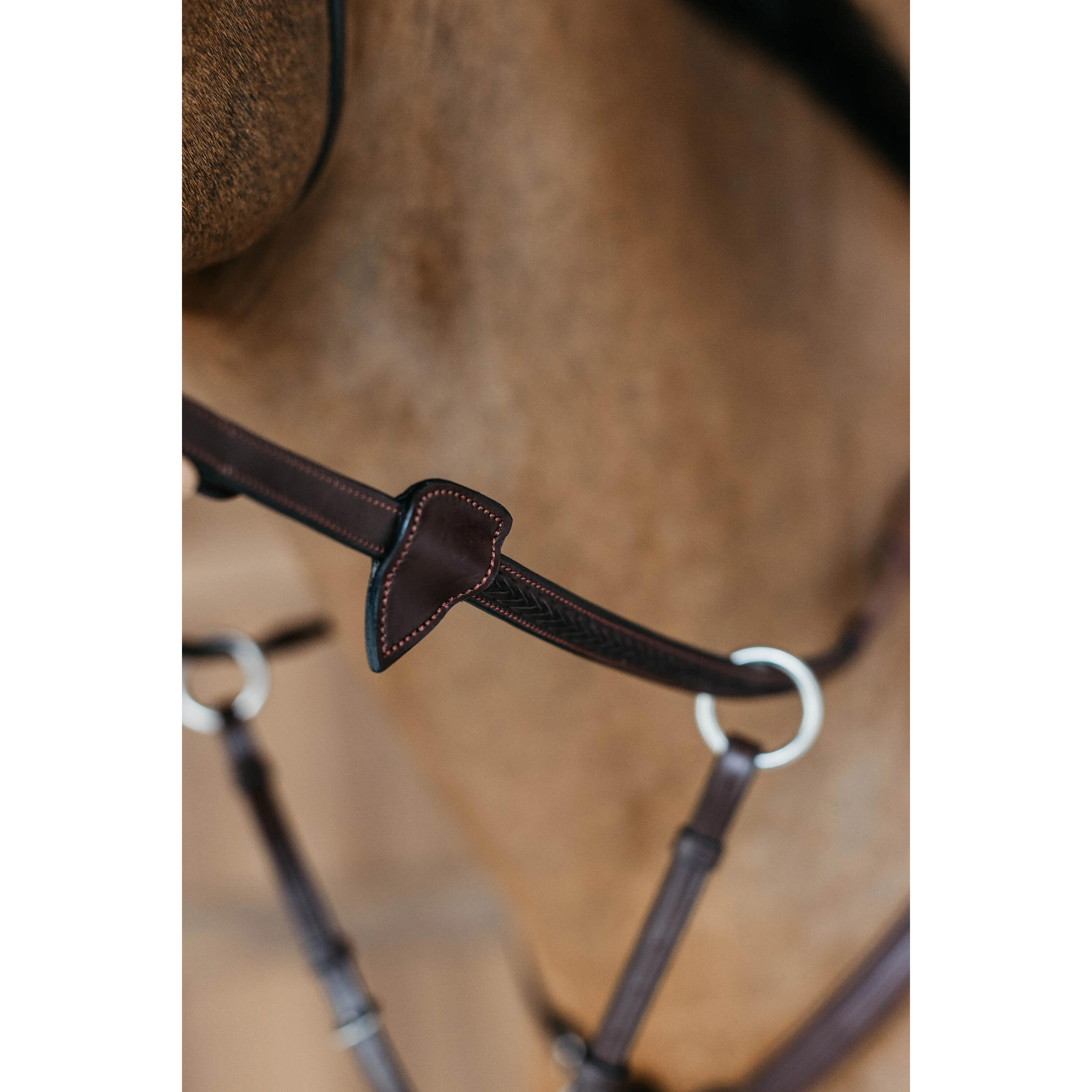 Rubber horse reins with 7 stoppers and braided finish Dy'on 1/2 DY ON ...