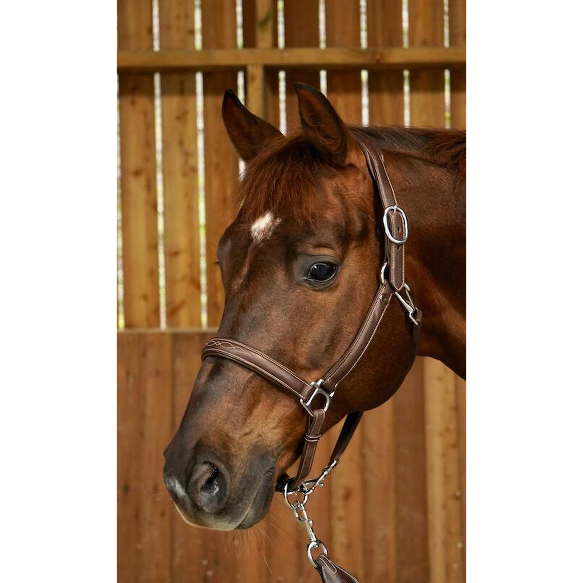 Halter dla konia z wyjątkowo miękkiej skóry Dy’on DY'ON | Decathlon