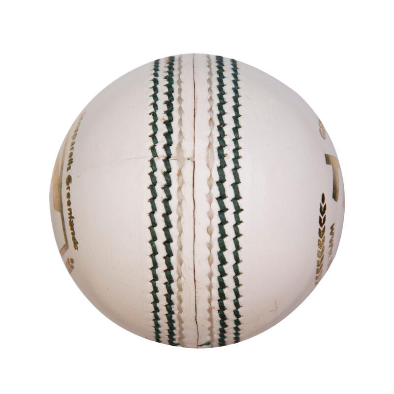 SG Test Cricket Balls | Water-Resistant Leather Ball | Top Quality Cork ...