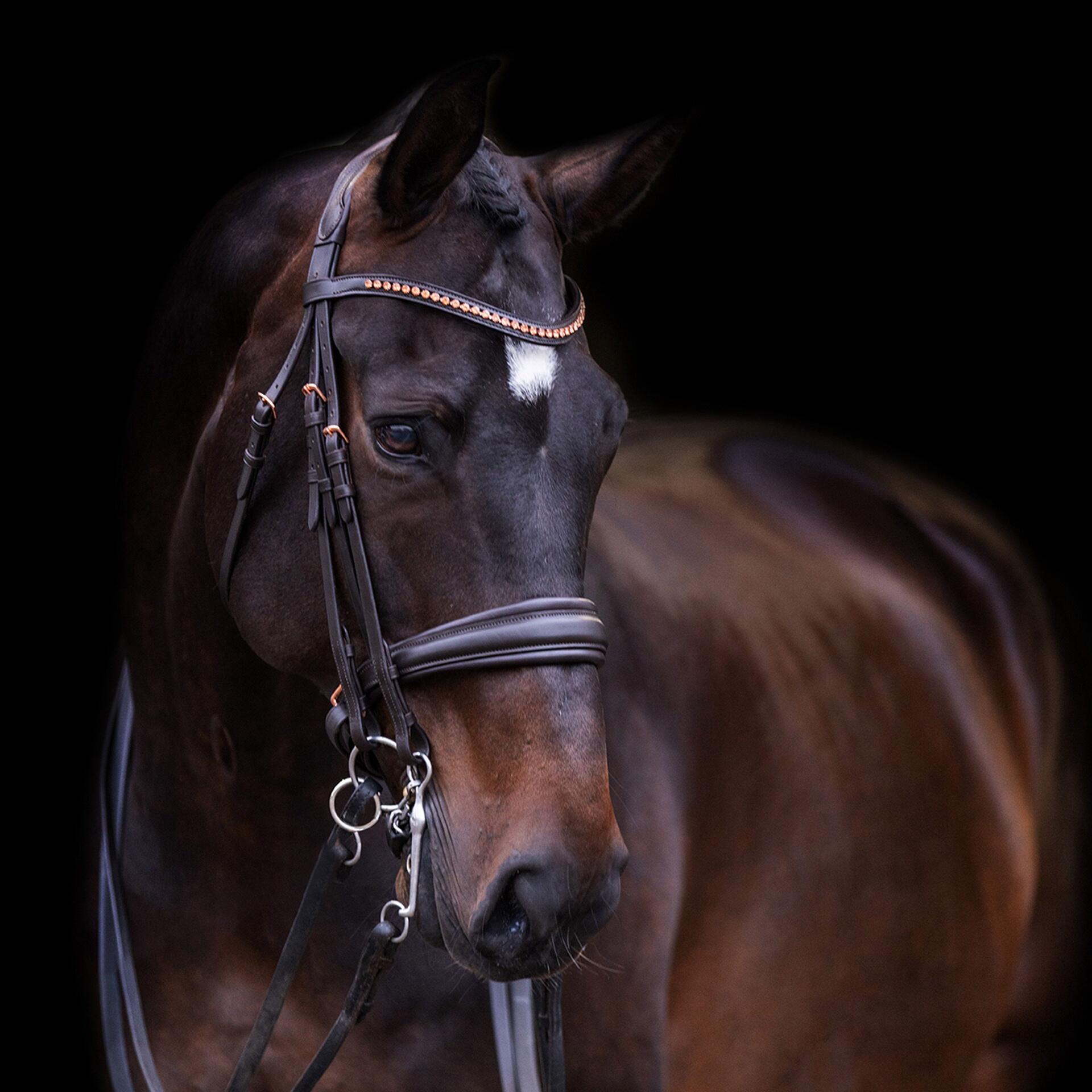 IMPERIAL RIDING Svatební uzda Imperial Riding Fria cena, slevy ...