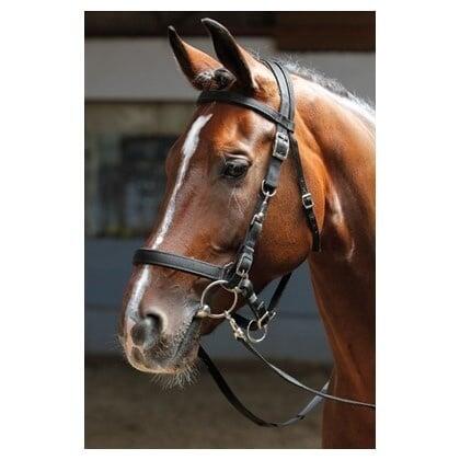 Harry's Horse Hoofdstel Halster (Cob) HARRYS HORSE - Decathlon