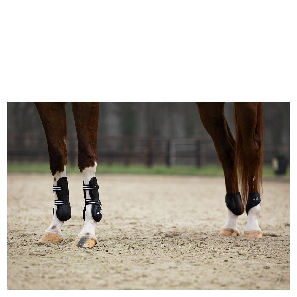 Kniebeschermers voor paard BR Equitation XO2 | Decathlon