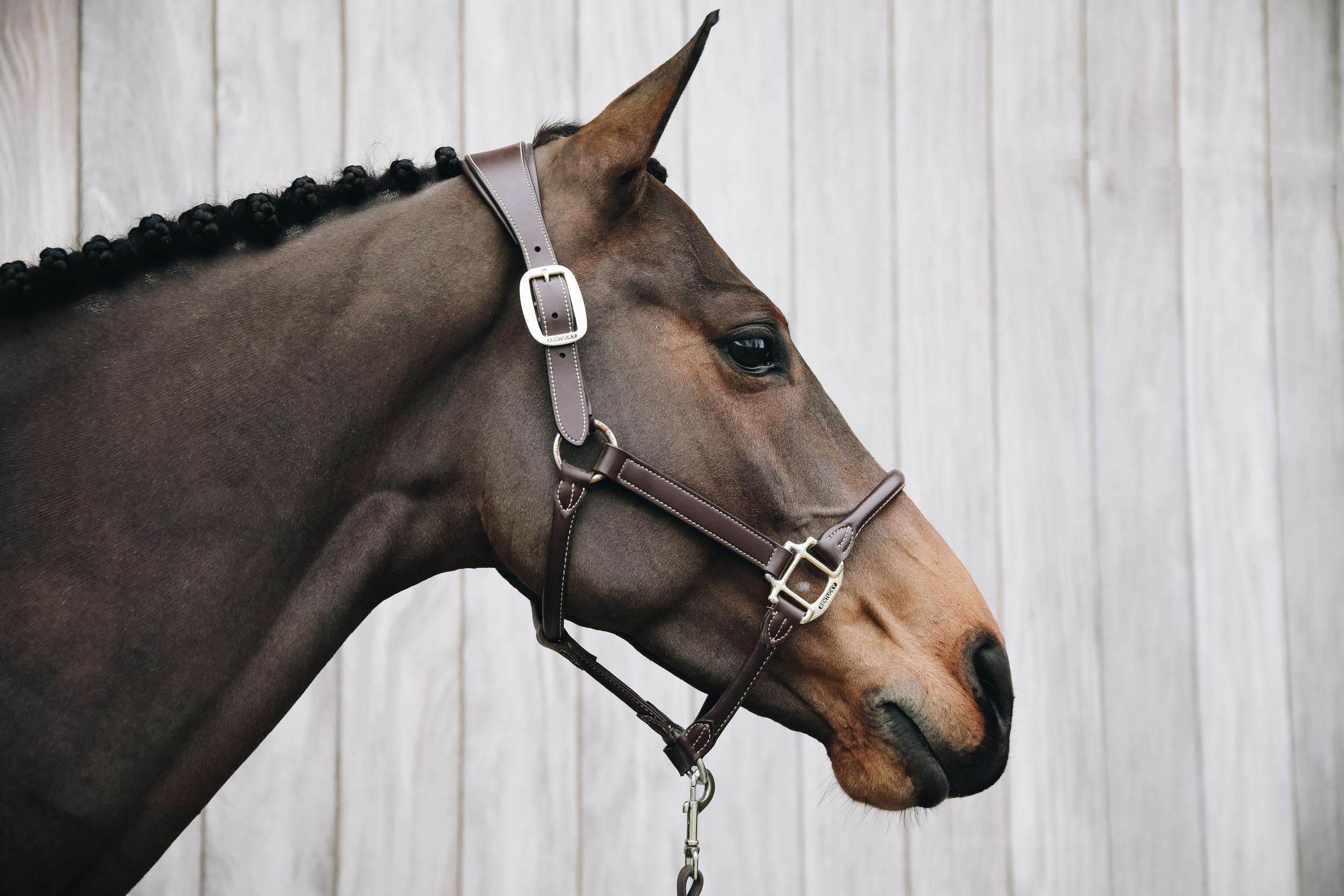 Longeerlijn Brown Anatomische Leder Halster KENTUCKY HORSEWEAR | Decathlon