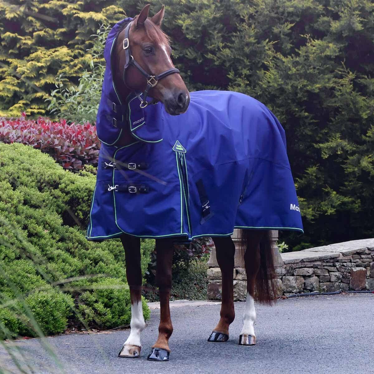Lightweight 100g horse turnout rug with combo neck MASTA | Decathlon