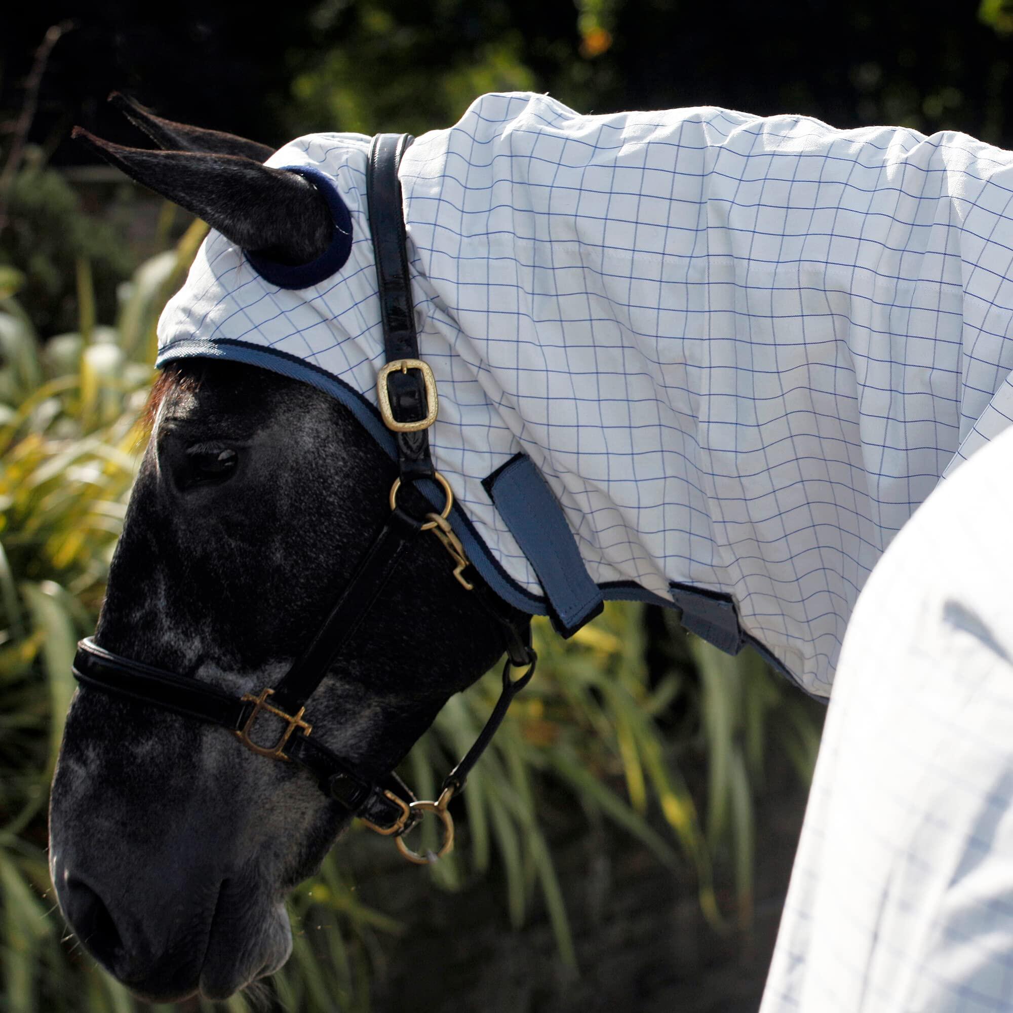 Sweet itch fly rug with belly wrap and combo neck MASTA | Decathlon