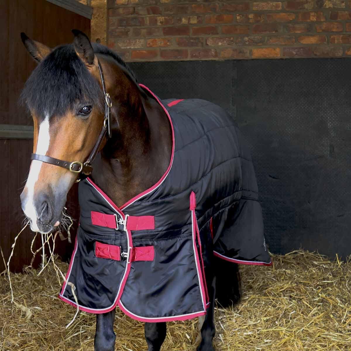 Ventomasta lightweight breathable 100g stable rug MASTA | Decathlon