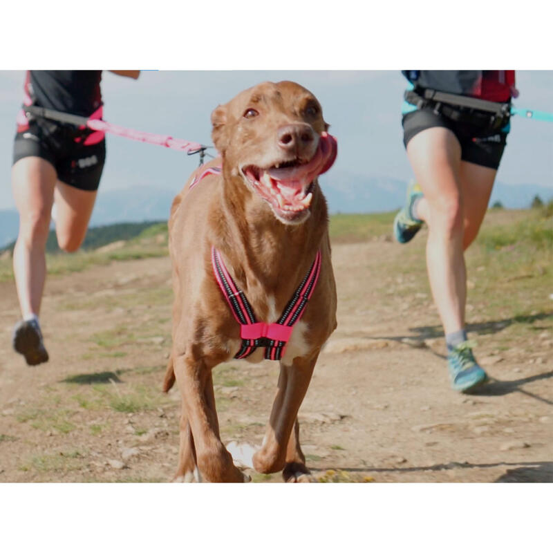 Harnais canicross, caniVTT réglable X-Back ONE Orange I-DOG | Decathlon