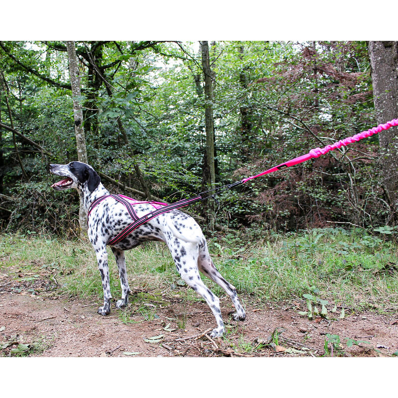 Harnais canicross, caniVTT réglable X-Back ONE Orange I-DOG | Decathlon