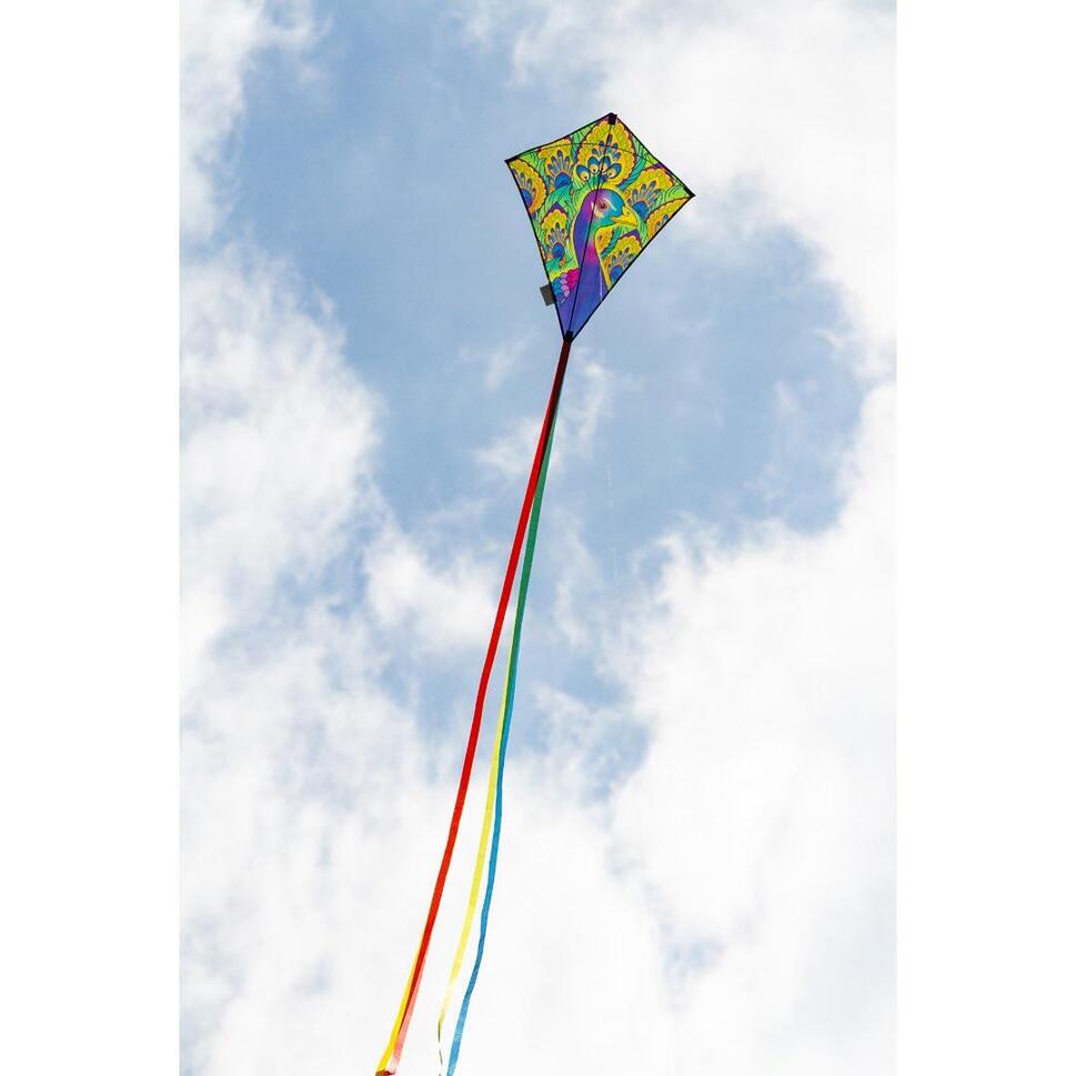 Cerf-volant pour enfants HQ Eddy 70 Peacock 102117 Bleu 58 x 70 cm ...