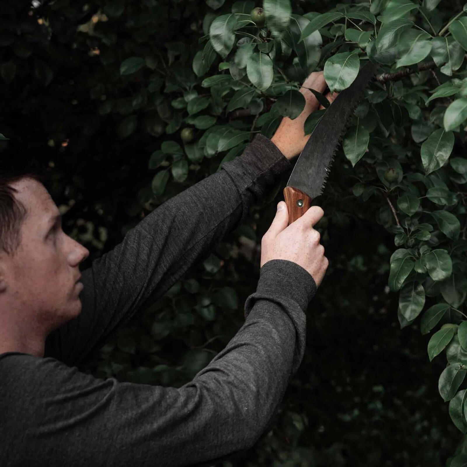 Holzsäge Handsäge Bushcraft Full Tang Garten Baum Ast Säge Holz 25 cm ...