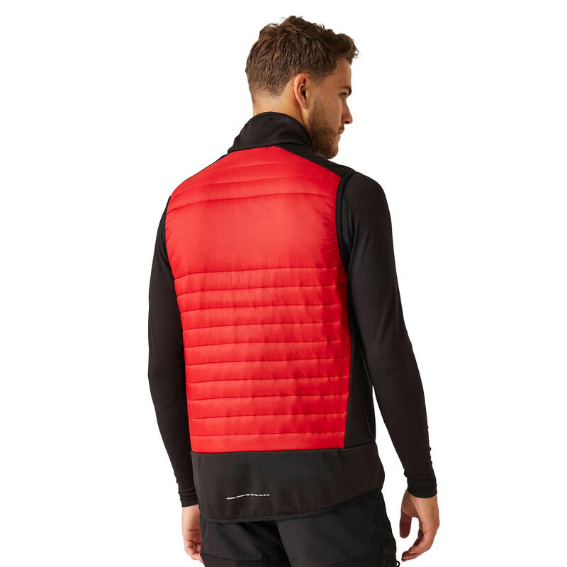 Veste Sans Manches EVOLVE HYBRID Homme (Rouge Classique / Noir) REGATTA ...