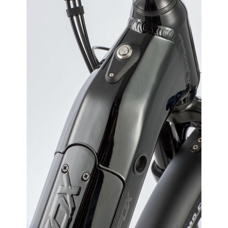 Elektrofahrrad Motor Hinterrad bafang Leader Fox Lotus 2023 36V 45Nm ...