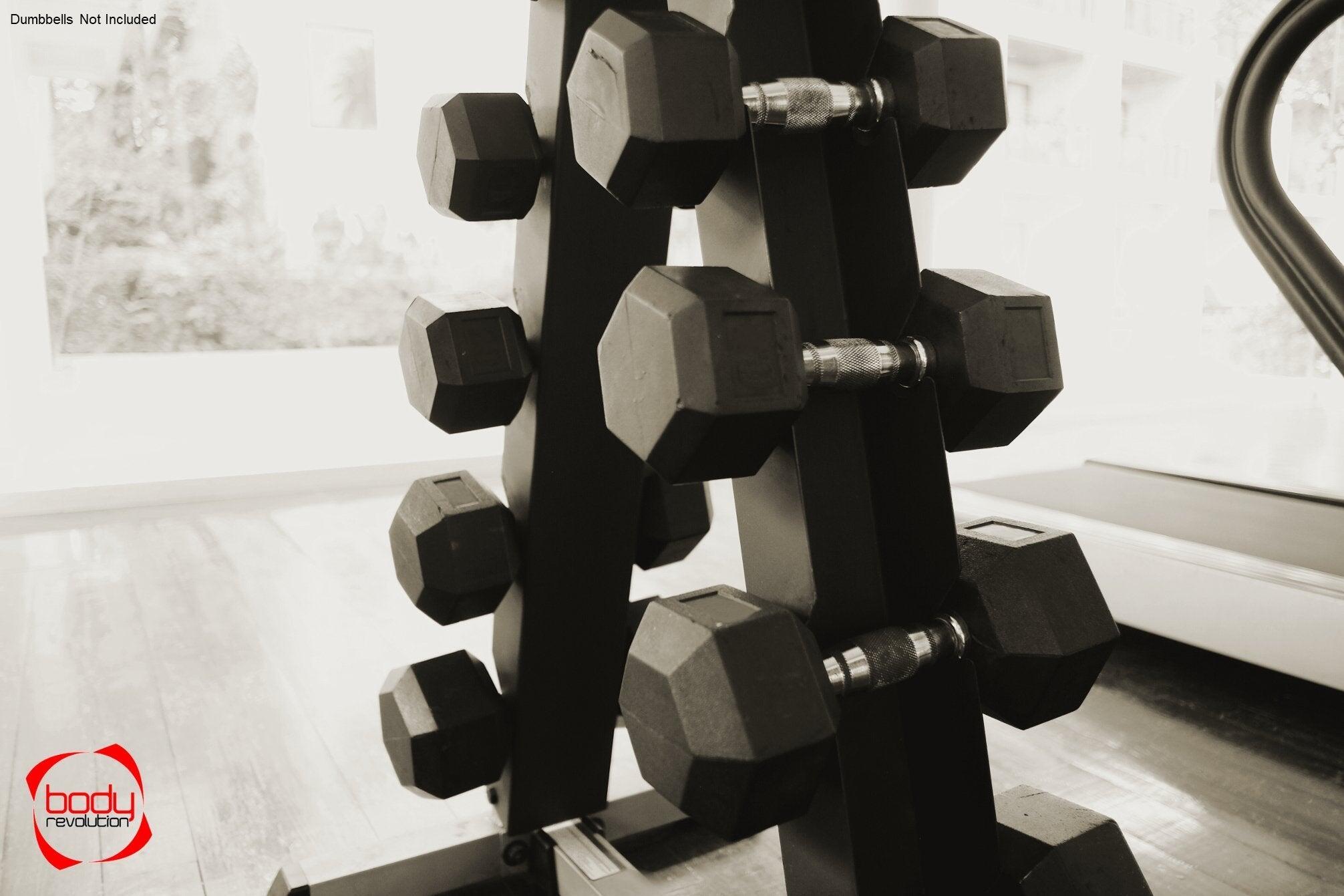 Body Revolution Heavy Duty 6 Dumbbell Rack - Home Gym A Frame Stand ...