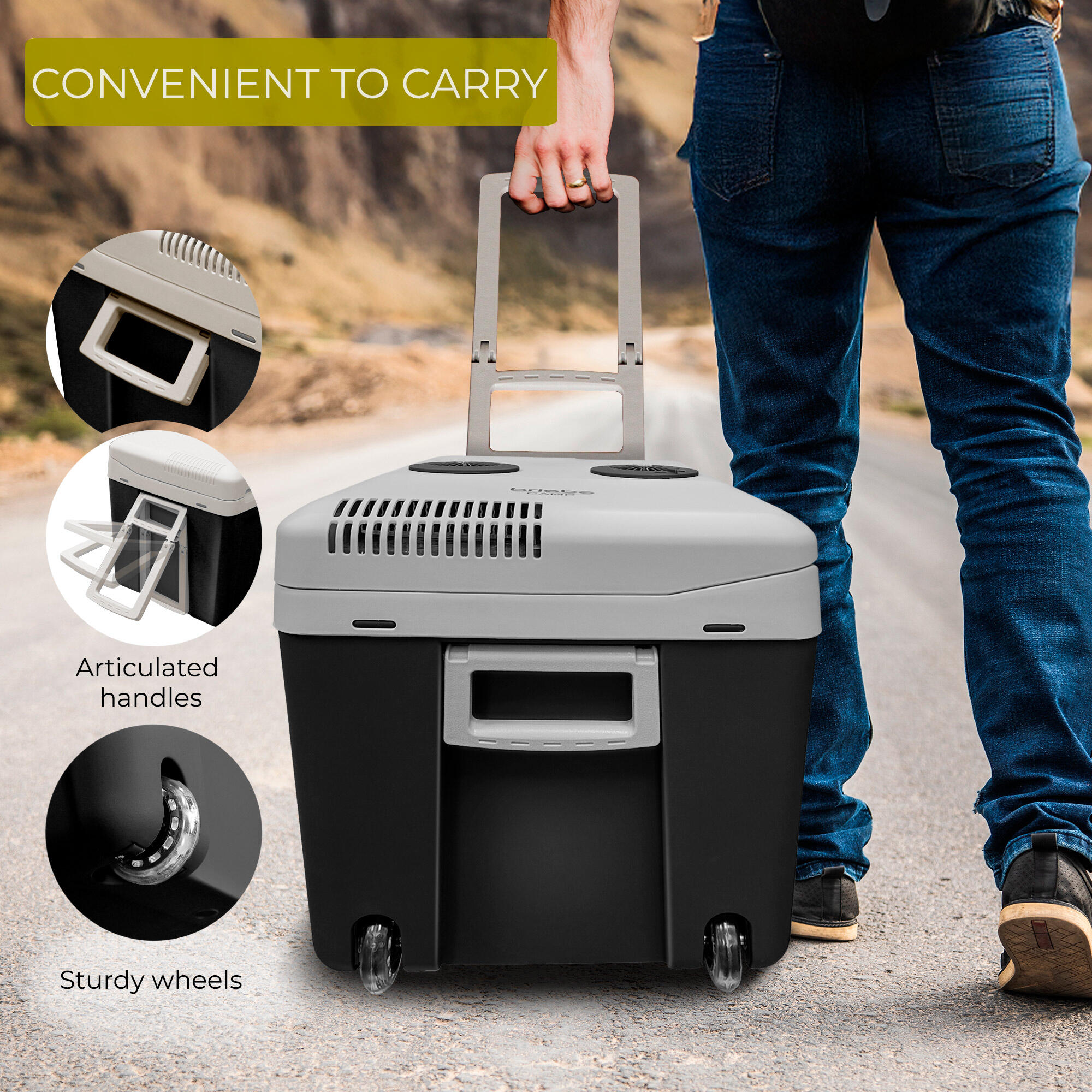 Elektrische Koelbox Draagbare 40L voor Camping en Auto 12V/220V Campers briebe BRIEBE | Decathlon