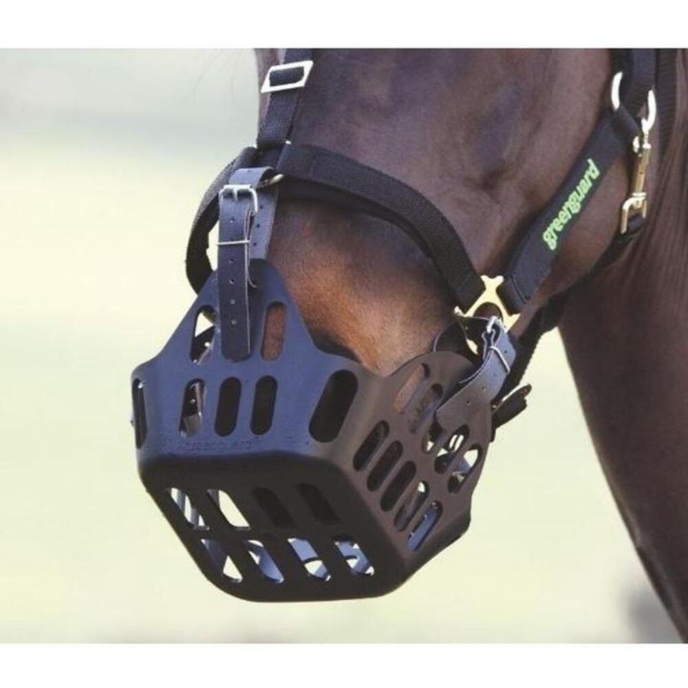 Leather Horse Grazing Muzzle Strap (Black) GREENGUARD | Decathlon
