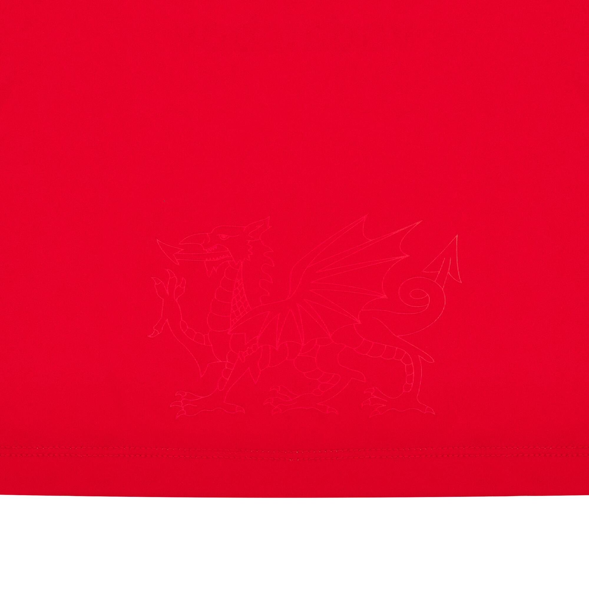 Wales WRU 2024/25 Infants Six Nations Home Rugby Kit | Decathlon