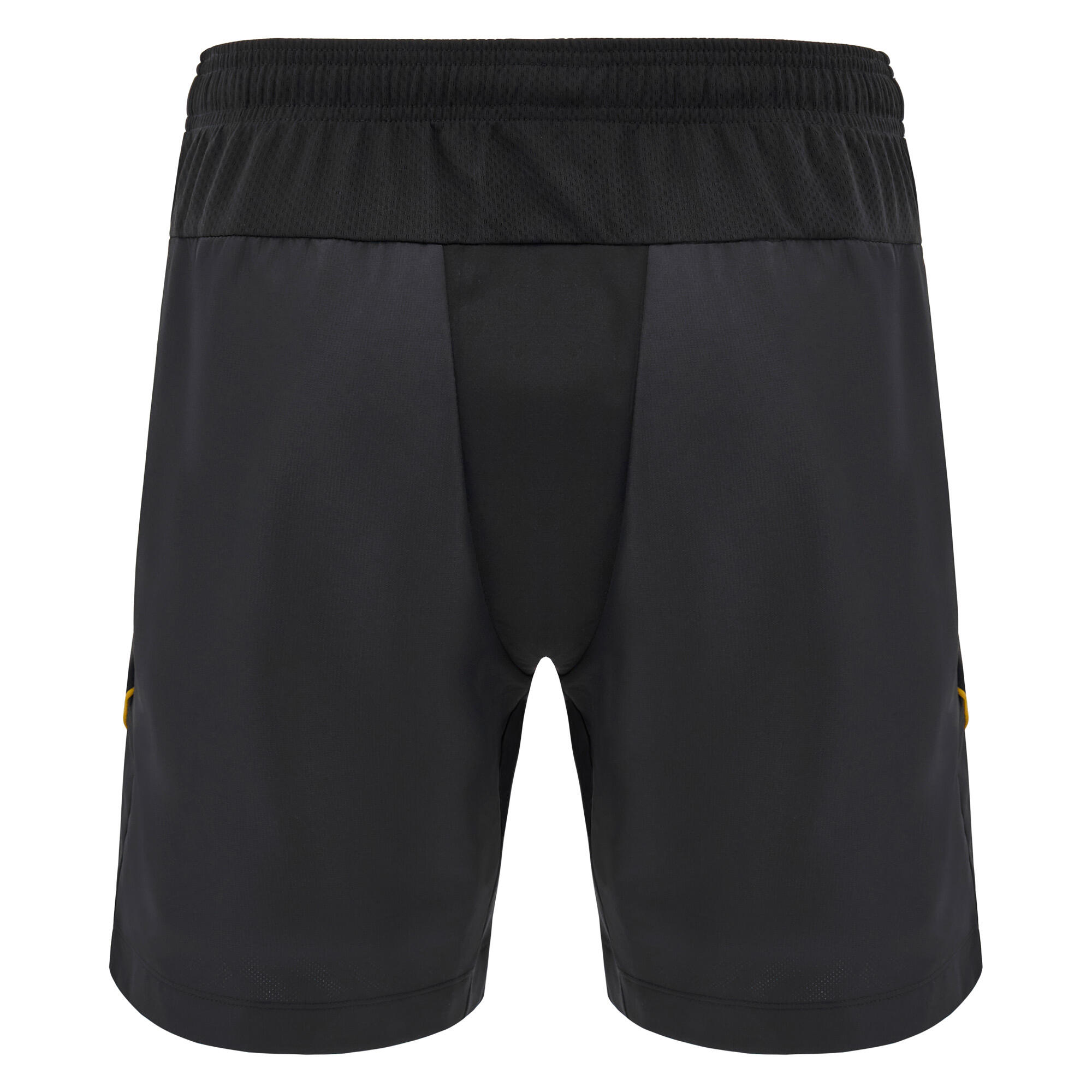 Wales WRU M24/25 Training Six Nations Micro Bermuda Rugby Shorts Adults ...