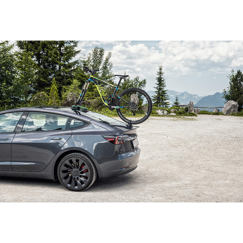 TreeFrog Pro 1 Bike Carrier Polycarbonate 3 Suction Cups 9-15x100 mm TREEFROG | Decathlon