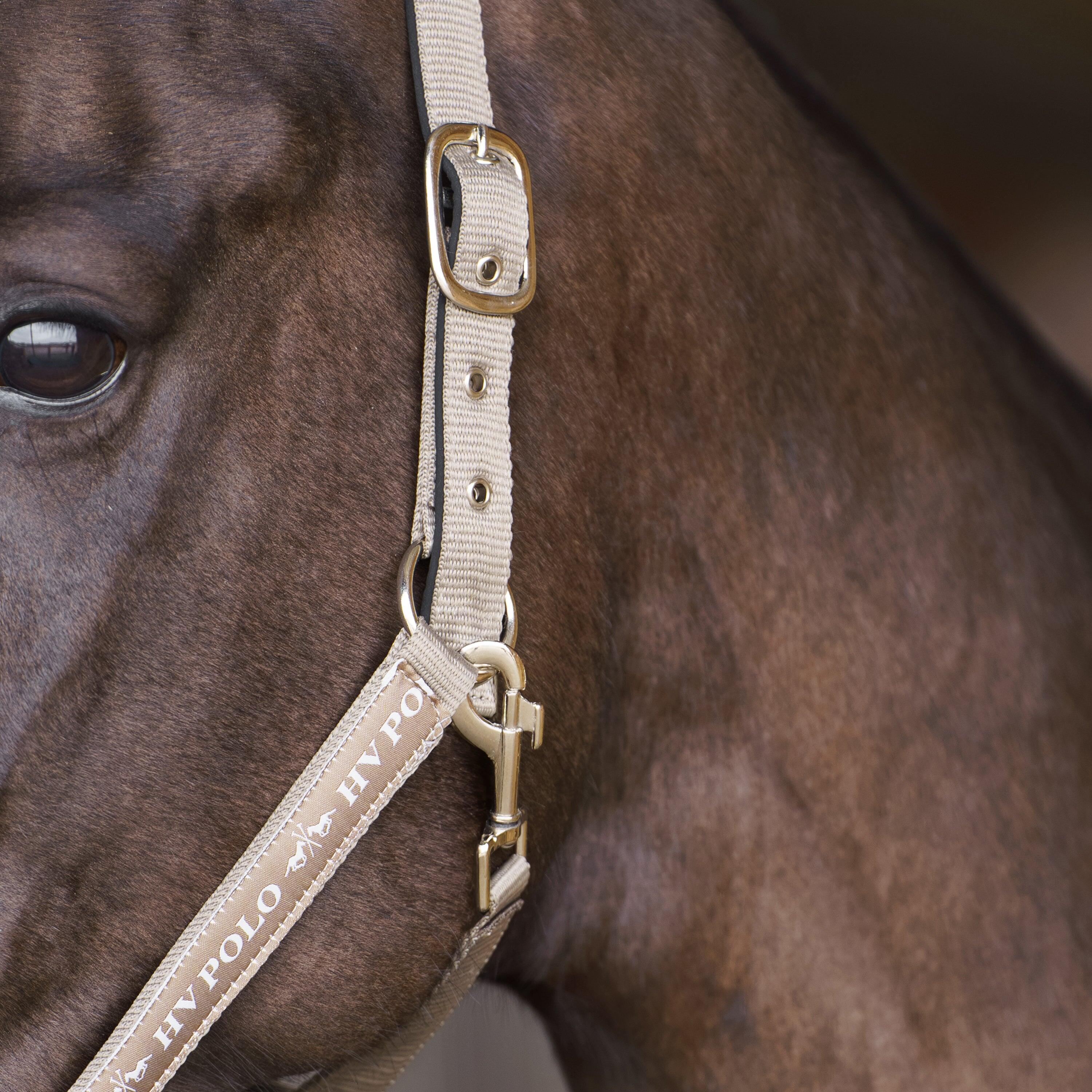 Capezza cavallo HV Polo Nena HV POLO | Decathlon