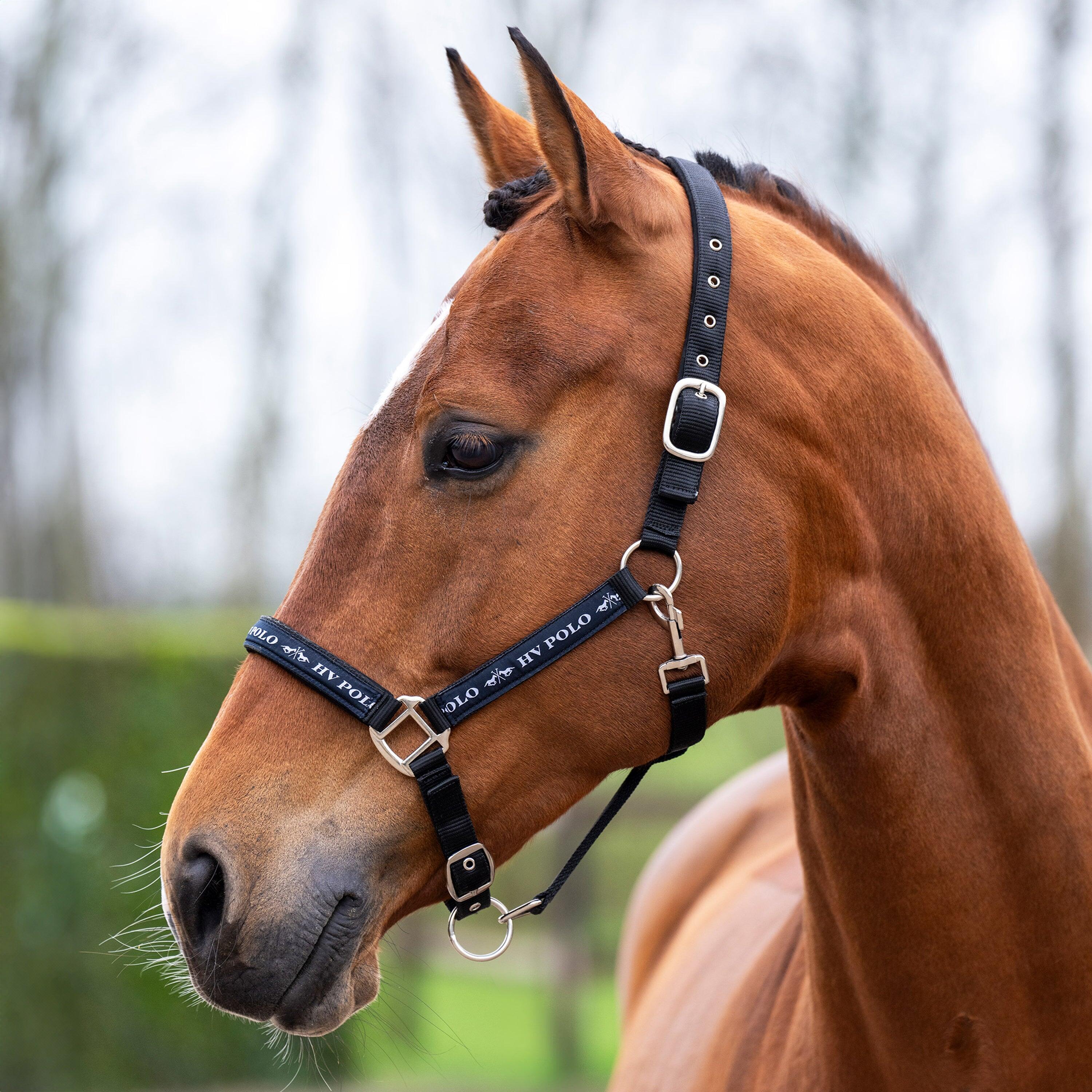 HV Polo Halster Nena - Navy (Full) HV POLO | Decathlon