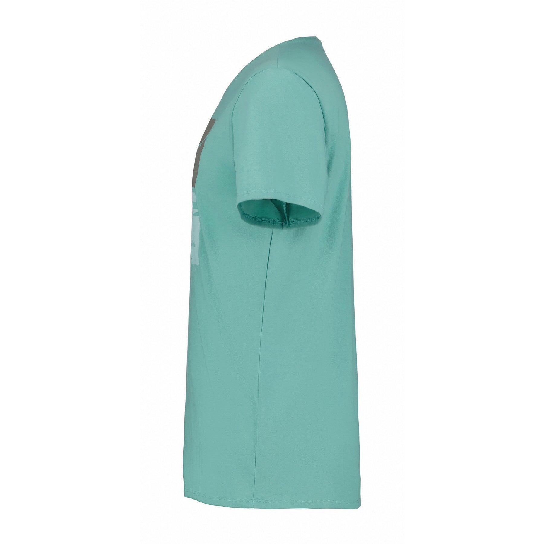 ICEPEAK Beeville T-shirt für Herren | Decathlon